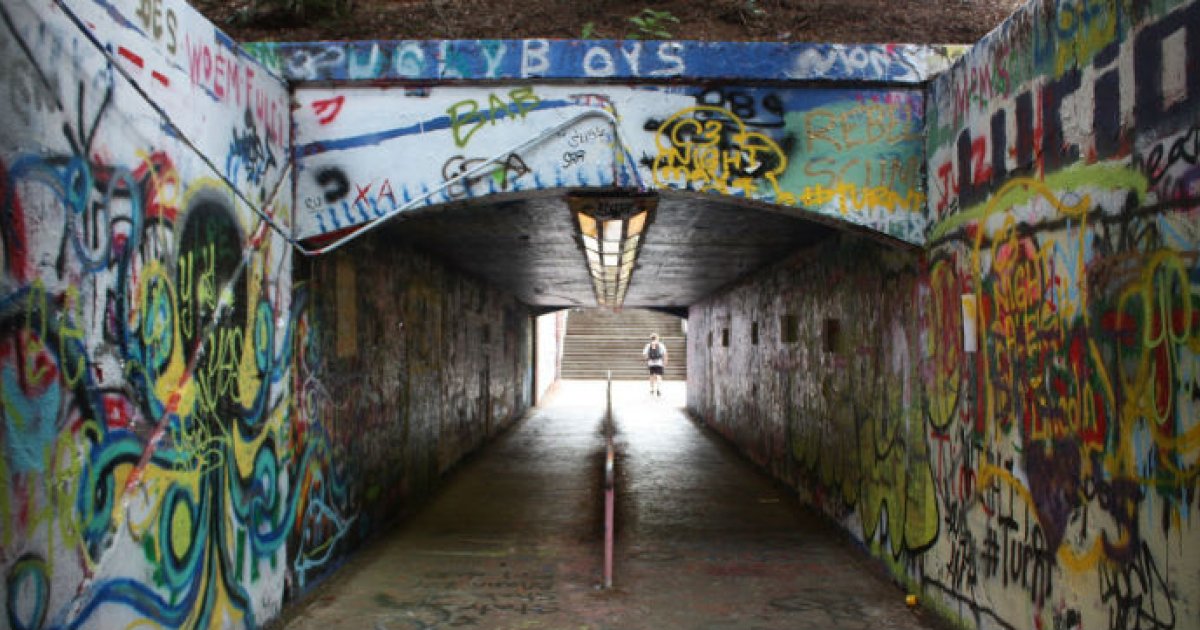 Perennial Controversy over NC State Free Expression Tunnel Inspires ...